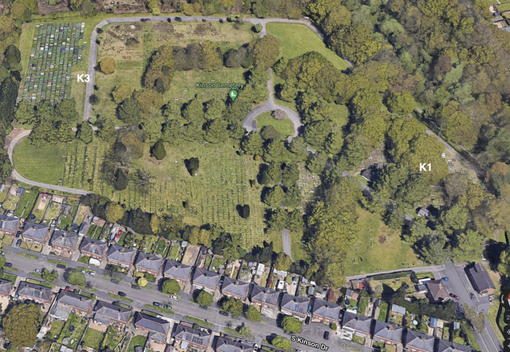 Kinson Overview – The Living Stones